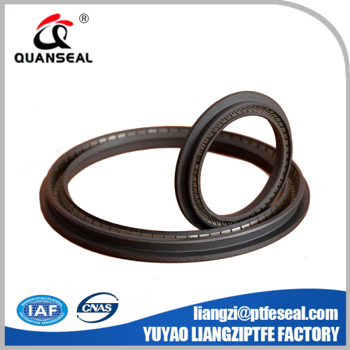Mechanical Ring Ptfe Spring Loaded Oil Seals, High Quality Mechanical ...