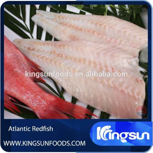 Fresh Ocean Perch Atlantic Redfish, High Quality Fresh Ocean Perch ...