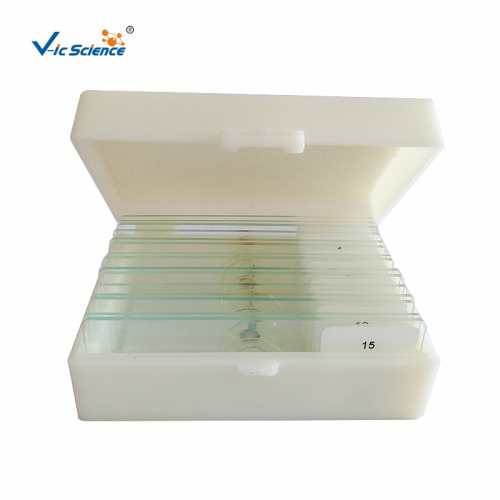 15 Pcs Biology Slide Packed In Plastic Box, High Quality 15 Pcs Biology ...