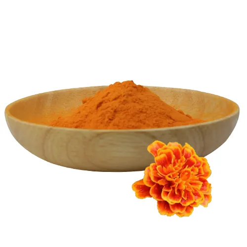 Calendula Arvensis Marigold Extract Lutein Powder, High Quality Calendula Arvensis Marigold ...