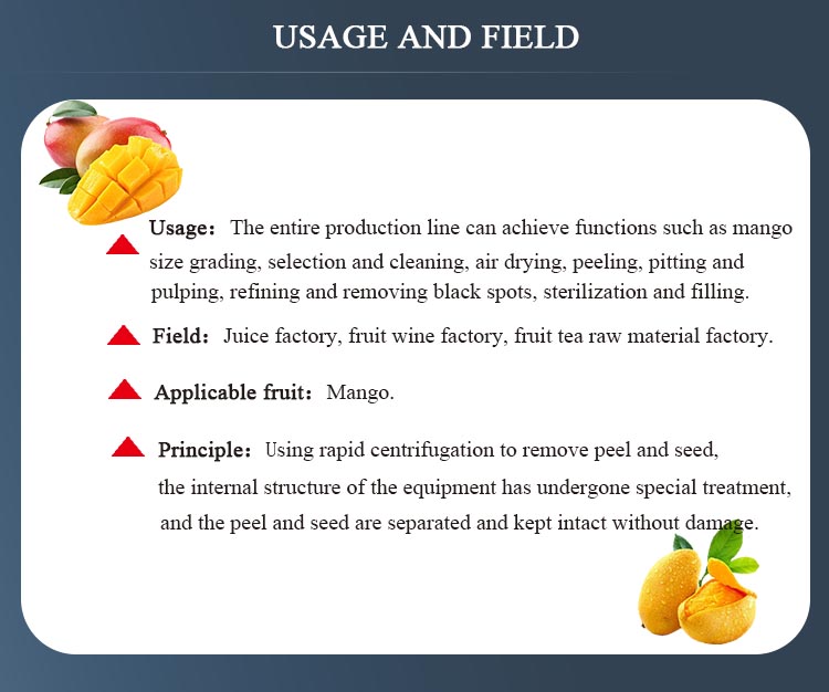 Pakistan Mango Peel Extract Machine | Low Price Automatic Mango Pulping ...