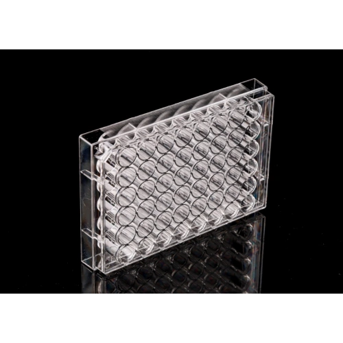 TC-Treated 48 well Cell Culture Plates China Manufacturers Suppliers ...