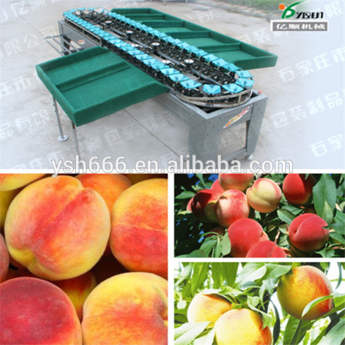 According To Diameter Apple Fruit Sorting Machine, High Quality ...