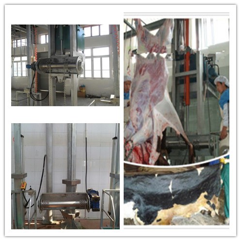 Cattle Slaughter Hide Puller (dehider) For Livestock, High Quality ...