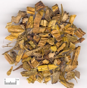 Factory Supply Caulis Dendrobii Extract Dendrobium Nobile Stem Extract ...