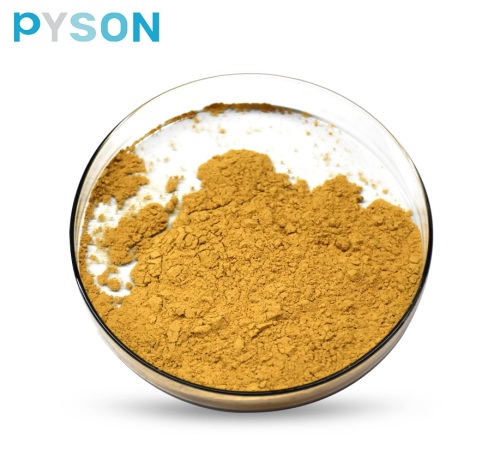 Dan Shen Extract 1% Hplc, High Quality Dan Shen Extract 1% Hplc on ...