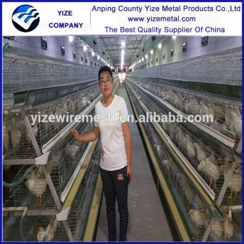 Poultry Equipment /chicken Transport Cage/ Chicken Cage, High Quality ...