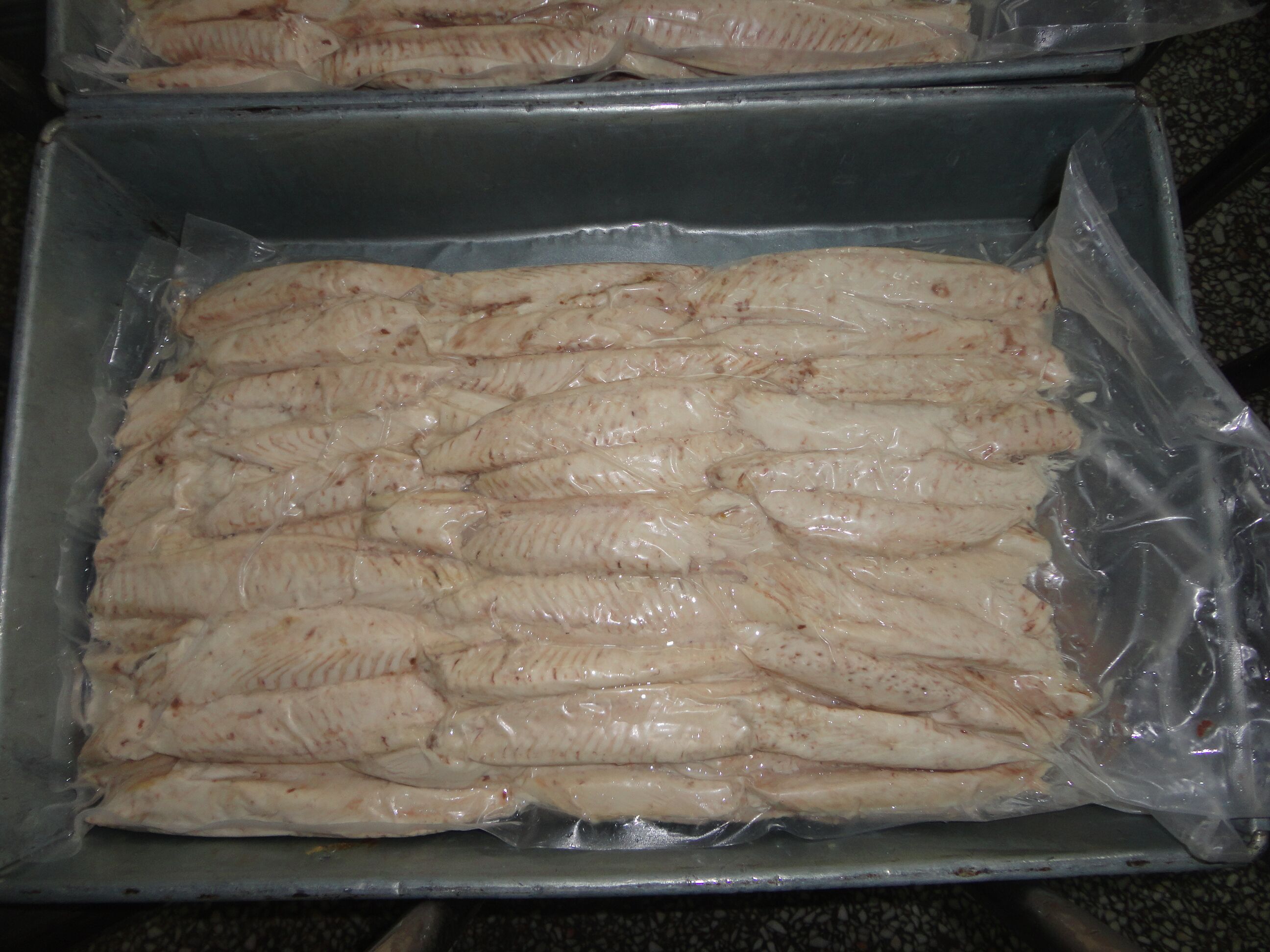 Frozen Pre-cooked Bonito Tuna Loin For Canning, High Quality Frozen Pre ...