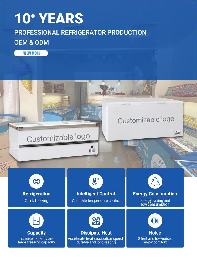 550l Chest Freezer Double Door Commercial Deep Freezer Horizontal ...