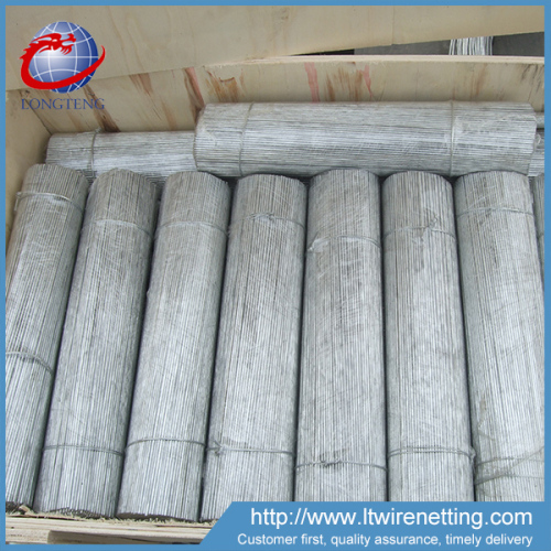 Straightening Machine Cut Wire 250mm Concrete Binding Wire, High ...