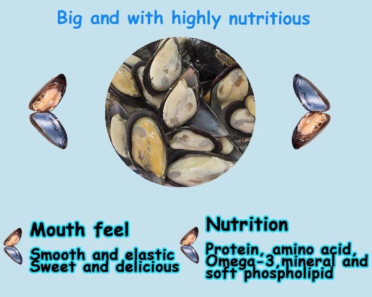 New 2020 Launch Product Cooked Half Shell Frozen Mussel Blue Mussel ...