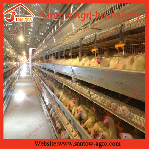 Large Capability Poultry Farm Chicken Layer Cage Design, High Quality ...