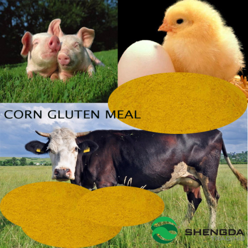 Corn Gluten Meal Feed Grade 60% Protein For Animal Feed, High Quality ...