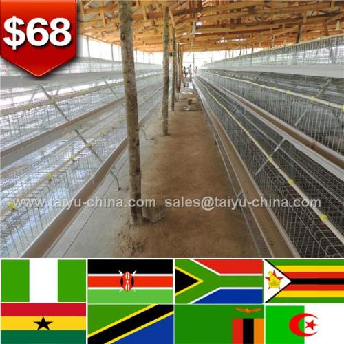 African Poultry House Design Broiler 120 Birds Capacity Battery Cages ...