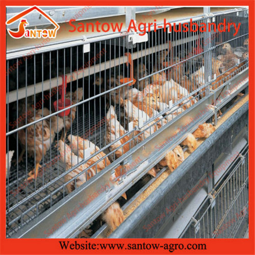 Large Capability Poultry Farm Chicken Layer Cage Design, High Quality ...