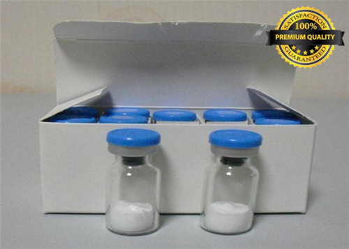 Dodder Seed, High Quality Dodder Seed on Bossgoo.com