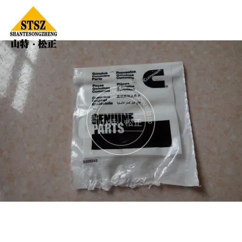 Cummins Spare Parts Rectangular Ring Seal 3820946, High Quality Cummins ...