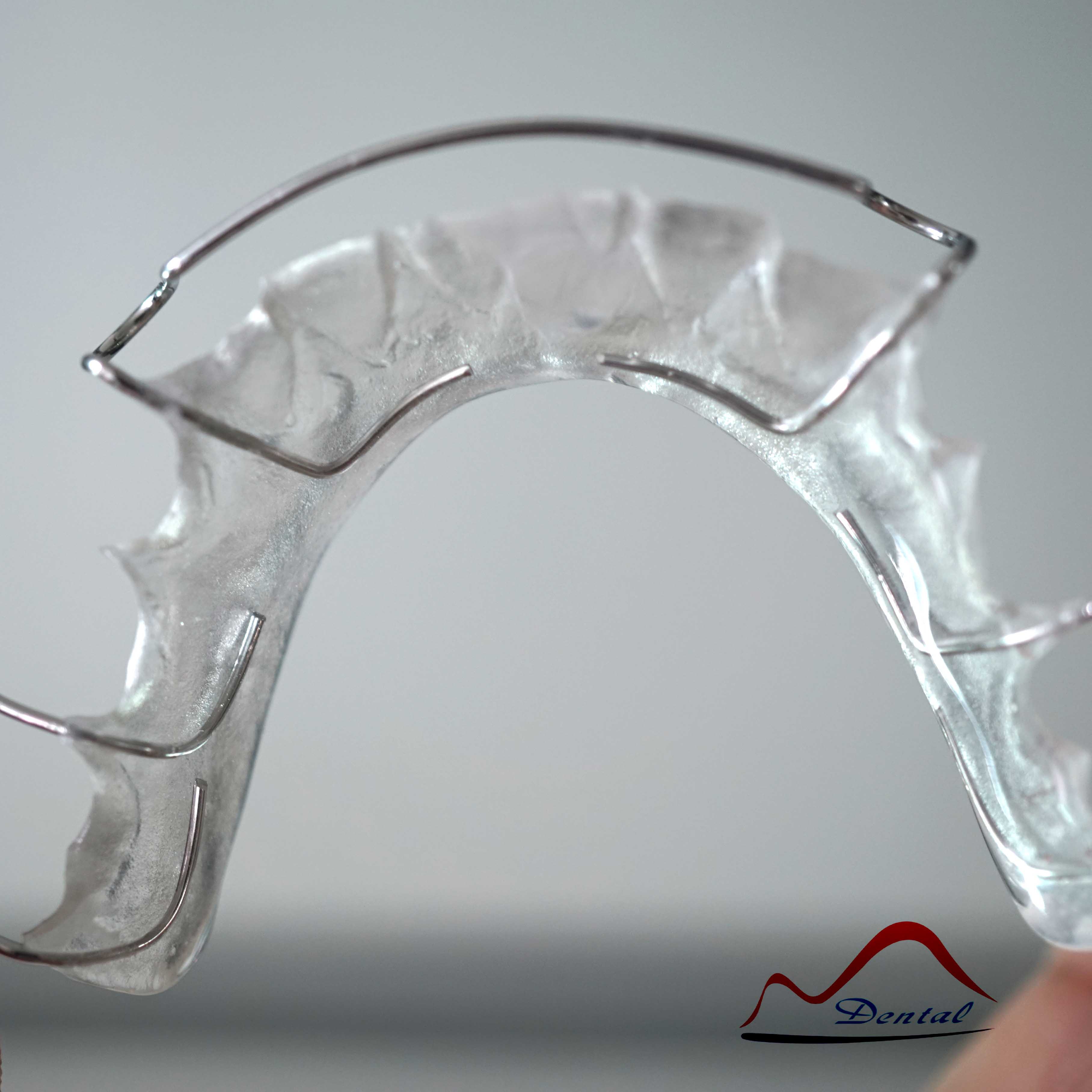 유명한 사용자 정의 된 홀리 리테이너, Bossgoo.com의 고품질 유명한 사용자 정의 된 홀리 리테이너