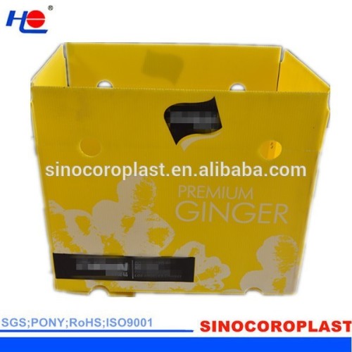 Pp Corrugated Plastic Fluted Ginger Box, High Quality Pp Corrugated ...
