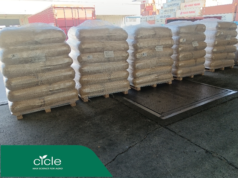 Plant Growth Biostimulant 6 Tons of Amino Acid Powder 80% Exported to Peru