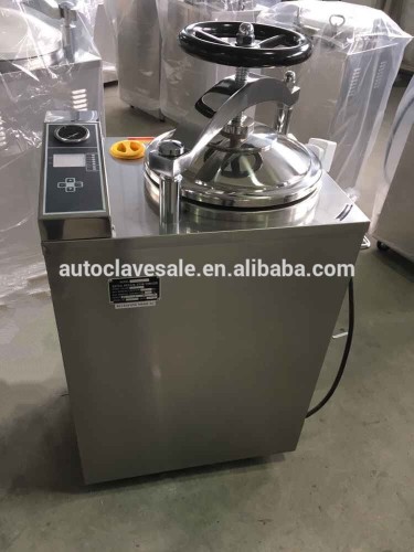 Bluestone Shoe Sterilizer Autoclave China Innovative Products 2017 ...