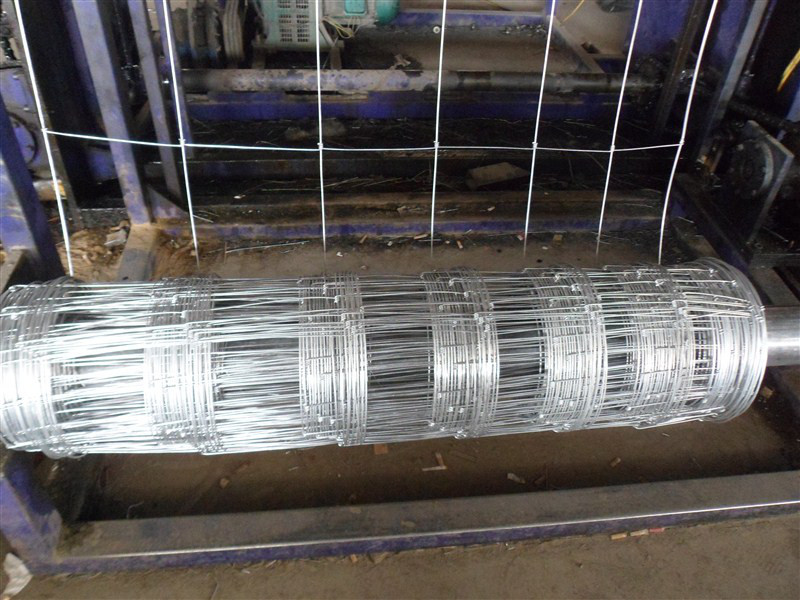 2.5m Boundary Fencing Tight Lock Mesh Deer Fence, High Quality 2.5m ...
