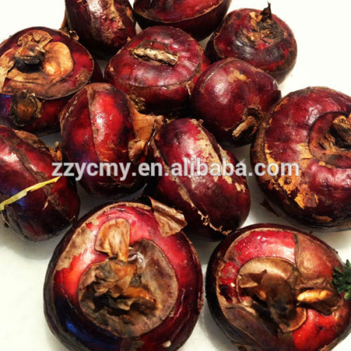 Fresh Vegetable In Tin Water Chestnut, High Quality Fresh Vegetable In ...