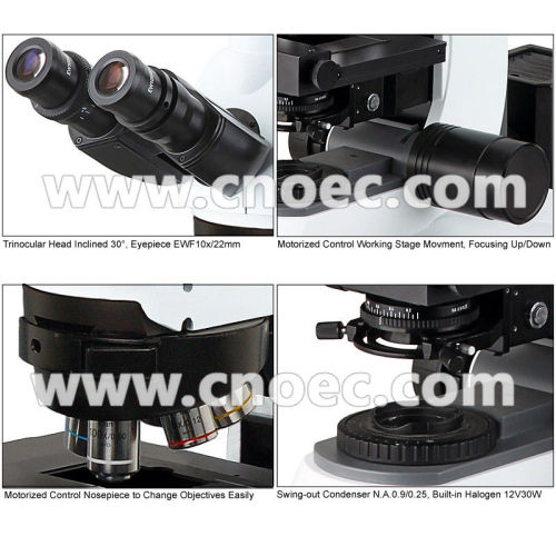 Trinocular Head Compound Optical Microscope Motorized auto Focus ...
