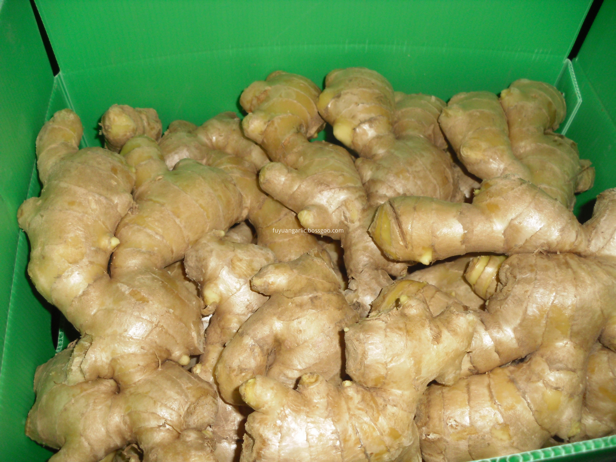 Air Dried Ginger From Anqiu, High Quality Air Dried Ginger From Anqiu ...