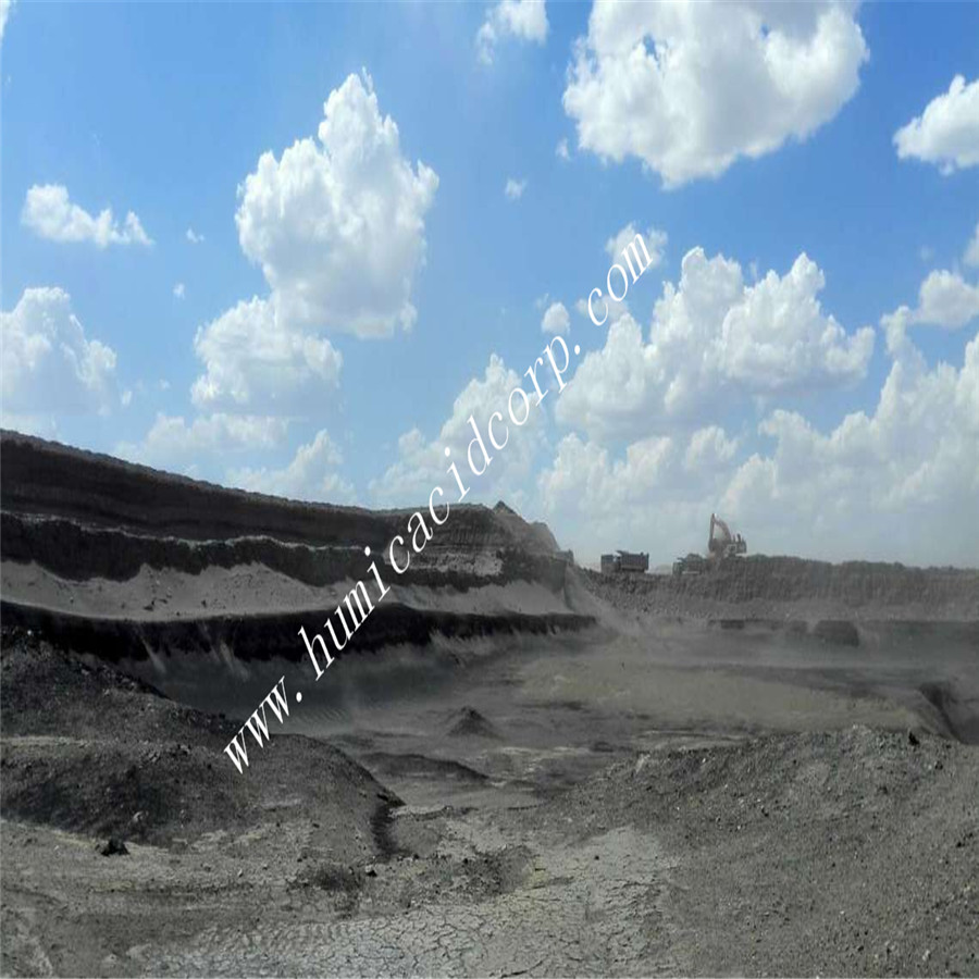 ปุ๋ยอินทรีย์และปุ๋ยอินทรีย์ในดิน คุณภาพสูง ปุ๋ยอินทรีย์และปุ๋ยอินทรีย์ ...