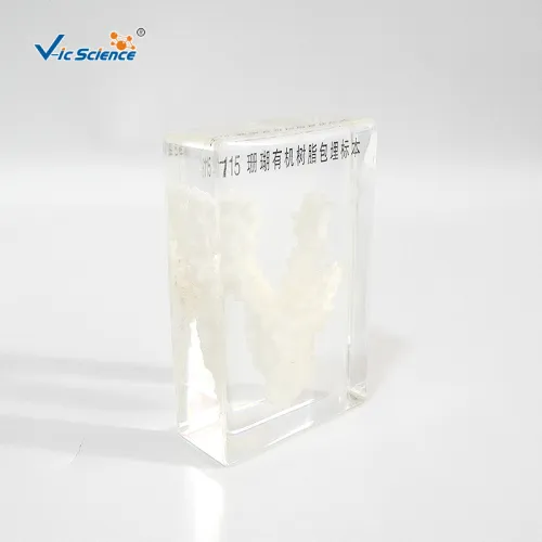 Coral Resin Embedded Specimen, High Quality Coral Resin Embedded ...