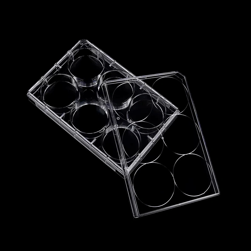 sterile 6 well plate for cell culture China Manufacturers Suppliers ...