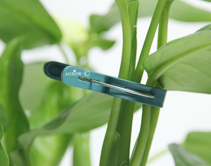 Gentle Plant And Flower Clips, High Quality Gentle Plant And Flower ...