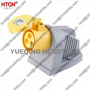 Industrial Wall Mounted Socket Single Phase 110v 2p+e, High Quality ...