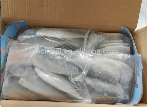 Frozen Pacific Mackerel Scomber Japonicus Fish Fillet คุณภาพสูง Frozen ...
