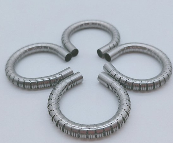 유연한 Ss Ent Mandrel Endoscope Snake Bone Tube, Bossgoo.com의 고품질 유연한 Ss ...