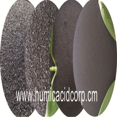 Humc Acid Potassium Powder, High Quality Humc Acid Potassium Powder on ...