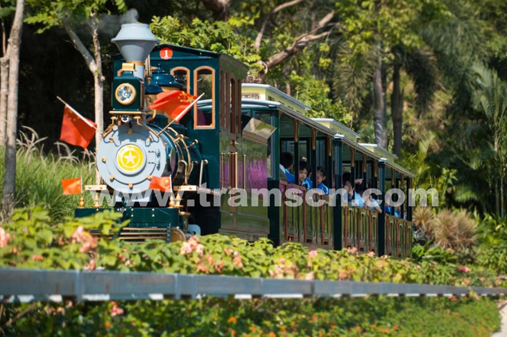 Children ride the steam locomotive train to celebrate Children's Day