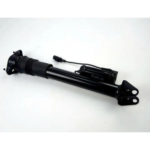 For Mercedes MLclassW164 rear Air shock A1643200731 China Manufacturers ...
