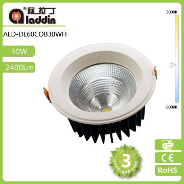 Cob Down Light 30w, Bossgoo.com의 고품질 Cob Down Light 30w