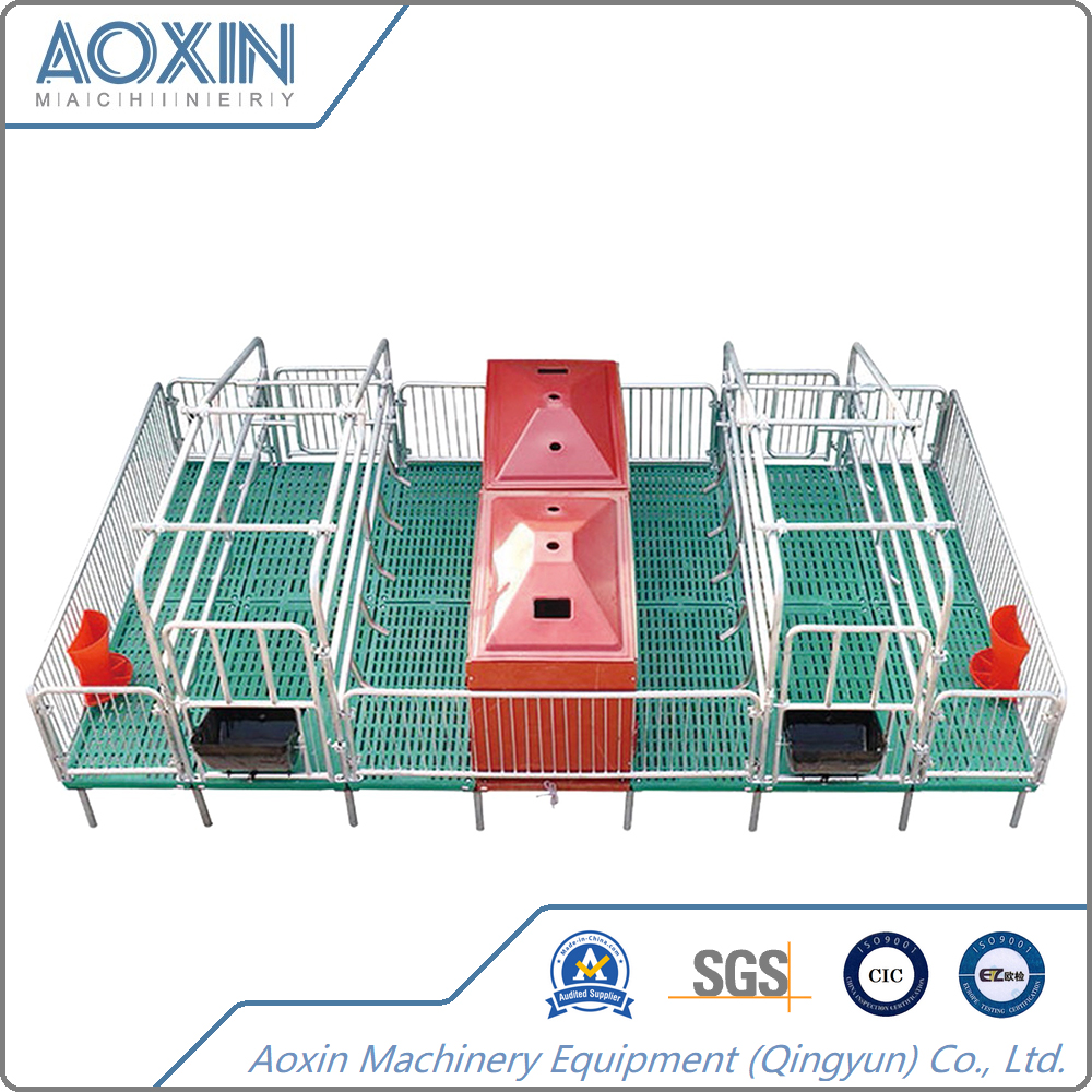 Hot Dip Galvanized Hog Gestation Crates & Swine Gestation Stalls For ...
