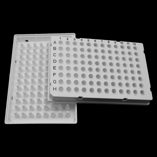 Dnase Rnase ฟรี 96 Pcr Plate คุณภาพสูง Dnase Rnase ฟรี 96 Pcr Plate บน ...