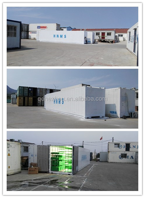 2024 40rf Hydroponic Container Farm: Vegetable Growing In Shipping ...