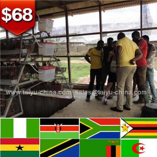 African Automatic Layer Cage For Poultry Chicks Farm, High Quality ...