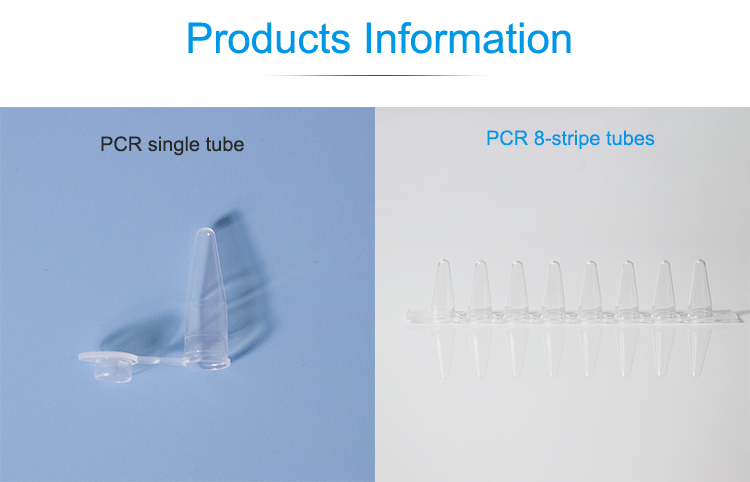 12 Real Time Pcr Tube Strips With Attached Caps, High Quality 12 Real ...