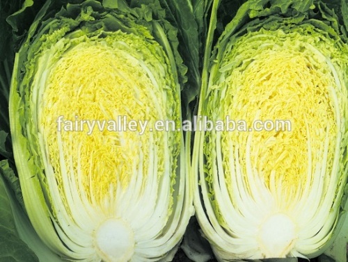 Hybrid Cabbage Seeds For Growing-autumn Heart, High Quality Hybrid ...