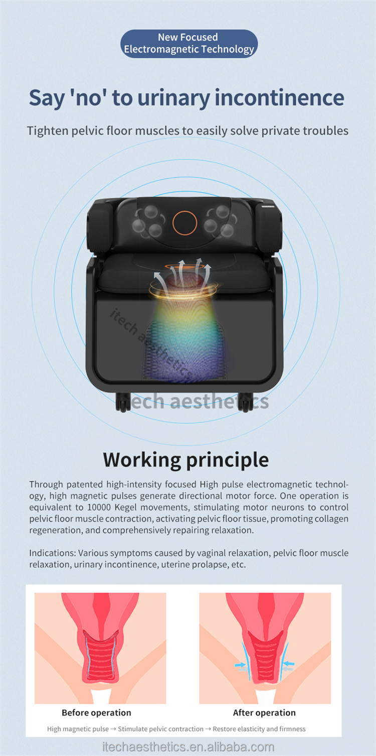 Professional Ems Pelvic Floor Rehabilitation Magnetic Chair, High ...