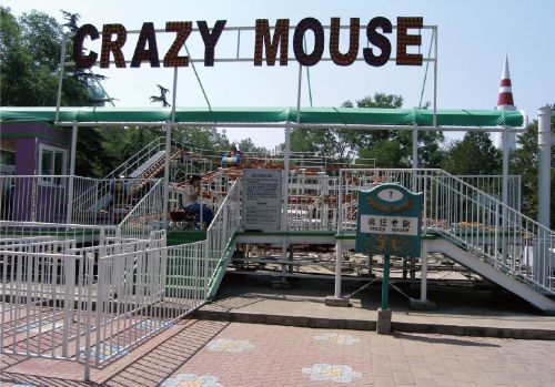 10kw Crazy Mouse Roller Coaster And Amusement Parks Roller Coasters For ...