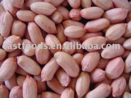 Groundnut Kernel, High Quality Groundnut Kernel on Bossgoo.com