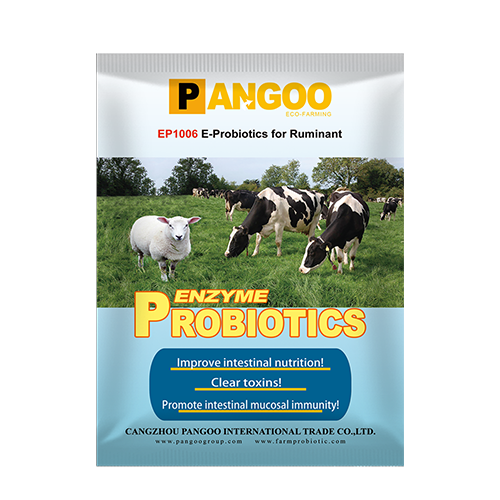 Ep1006 Probiotic Enzyme For Ruminant Digestion, High Quality Ep1006 ...
